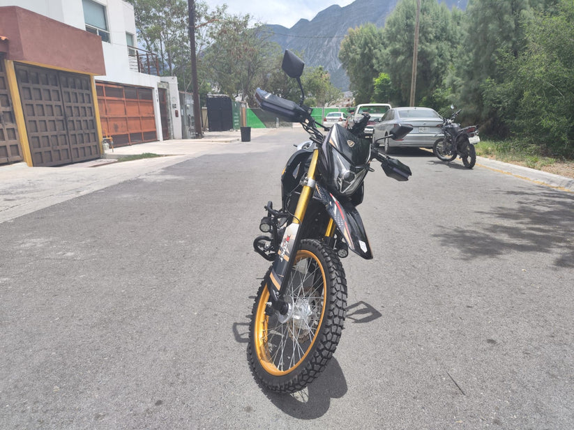 Italika DM 300 2025 – AC Motors