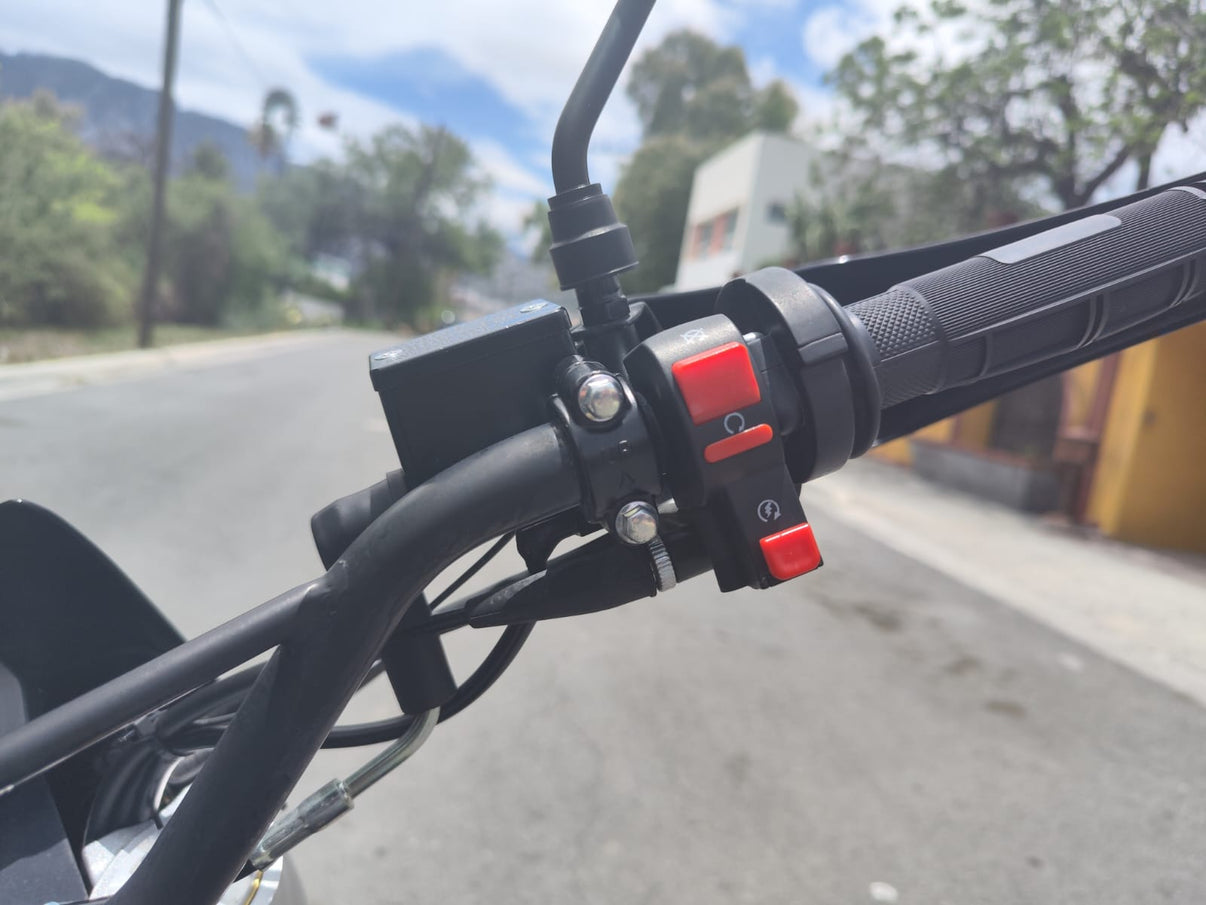 Italika DM 300 2025 – AC Motors