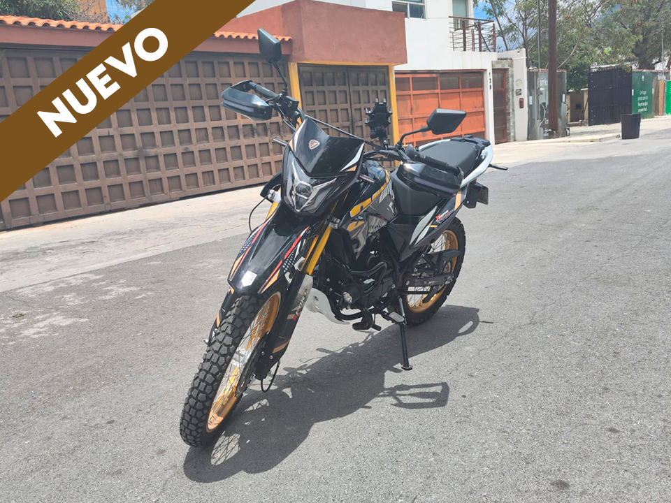 Italika DM 300 2025 – AC Motors